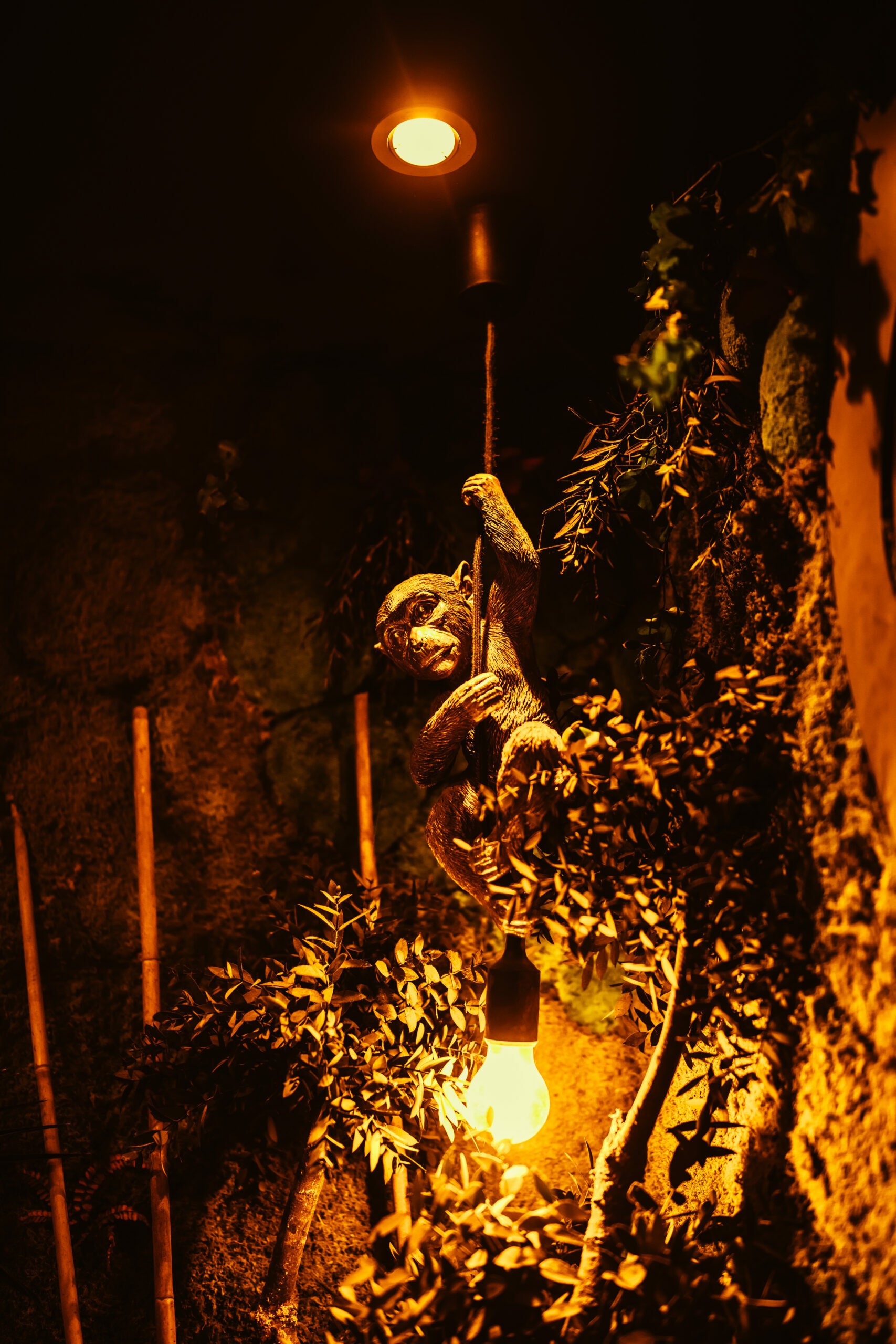 Le concept - Boite de nuit Lyon - Le Barrio Club